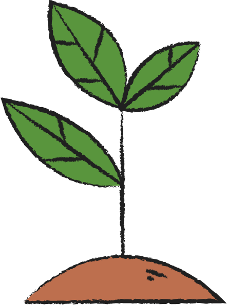 Mojo – Museum of Joy